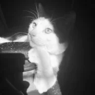 Ban | #1 Chat Avenue Forums